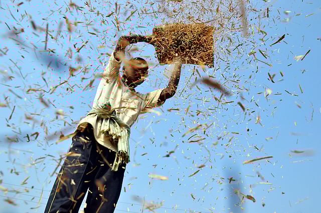 Odisha launches first grain ATM in Bhubaneswar