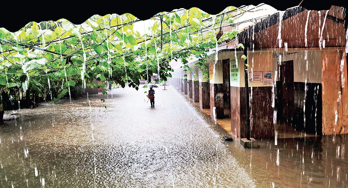 Waterlogging returns to haunt residents of low-lying areas in city