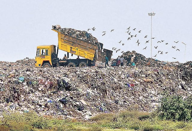 Tamil Nadu action plan to implement solid waste management rules in six ...