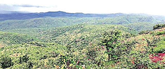 Kappatagudda forest is now a wildlife sanctuary