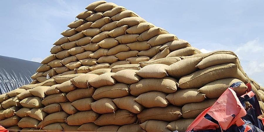 Paddy storage crises in Punjab; Centre suggests other state governments ...