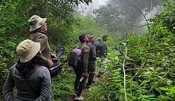 In a first, fauna checklist of over 1 lakh species launched