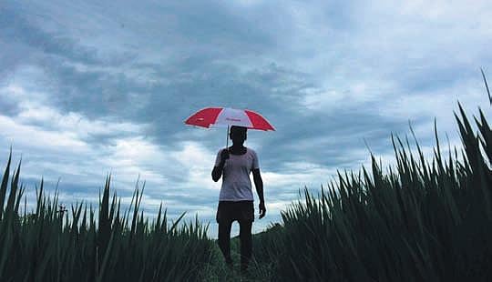 IMD forecasts heavy rains in Odisha as low-pressure area intensifies ...