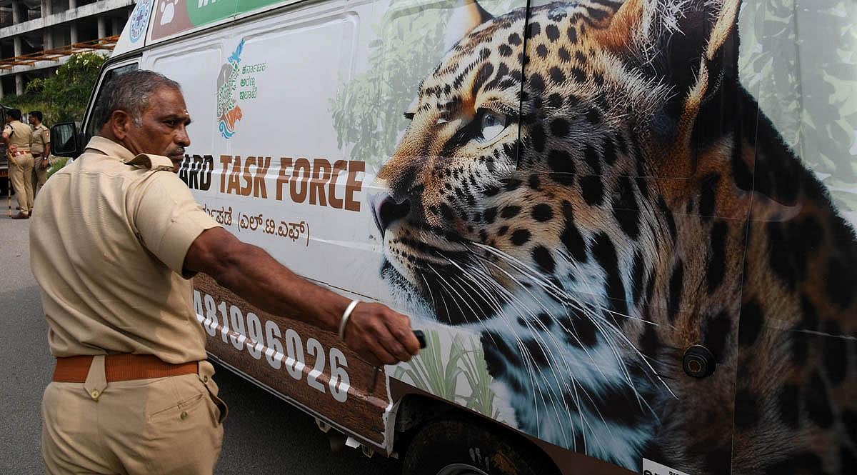 Karnataka: Special leopard task force has received over 500 calls since ...