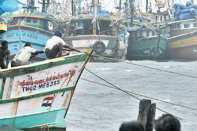 Cyclone takes buzz out of Kasimedu fishing harbour
