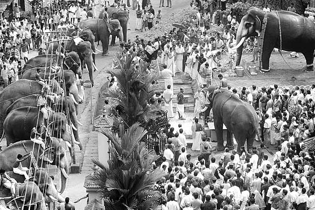 Homage paid to Guruvayur Kesavan