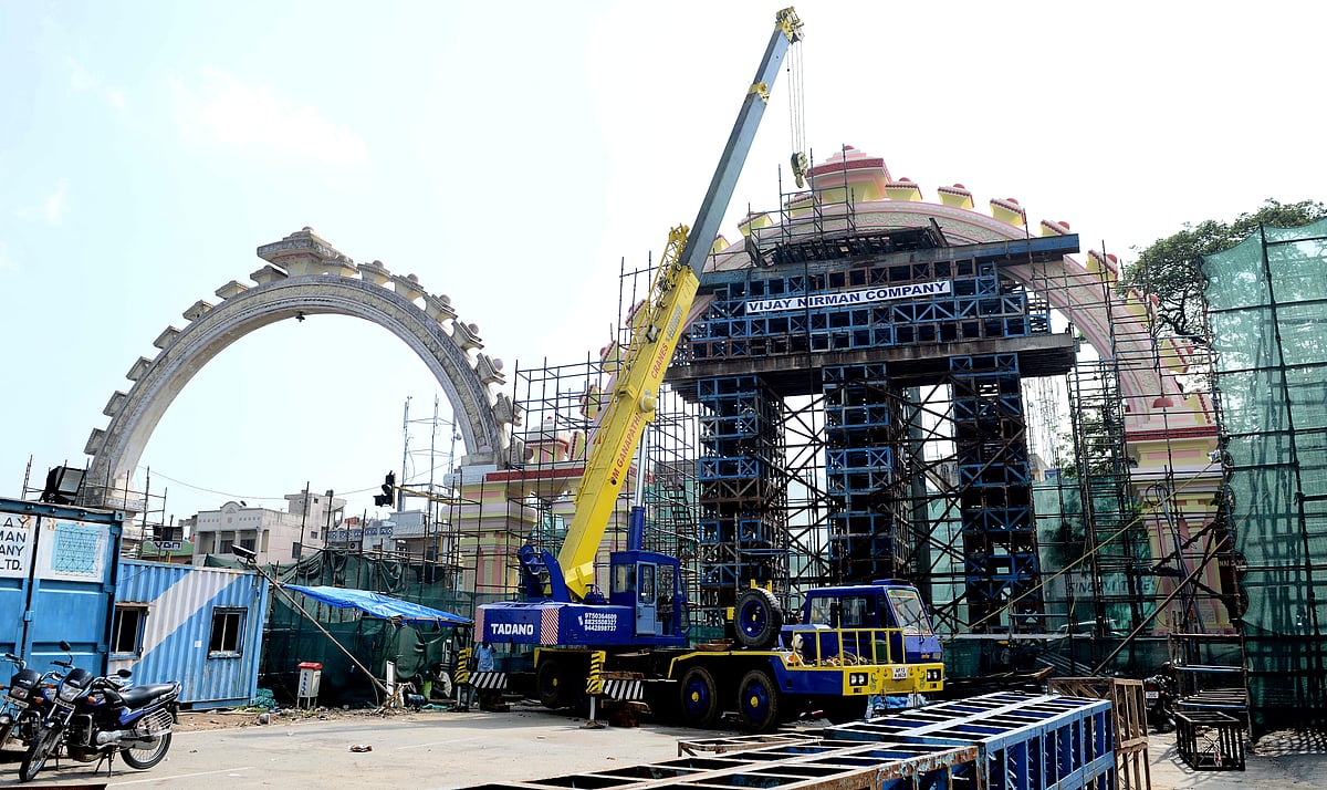 Anna arch coming out in flying colours