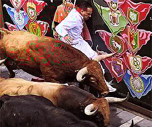 Man Gored to Death Filming Spanish Bull Run