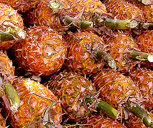 Vazhakulam Pineapple becomes a brand name