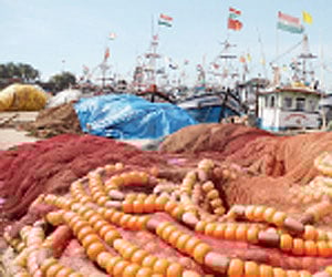 Belekeri: A fresh start with farming, fishing