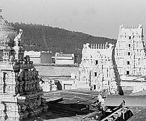 TTD Plans to Install Coin-sorting Machine at Par