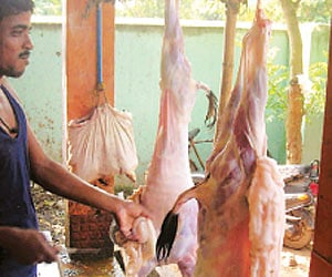 A distasteful, disturbing sight