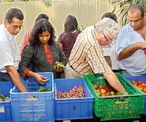 ReStoring organic food