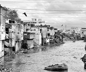 109 points of stagnation and growing