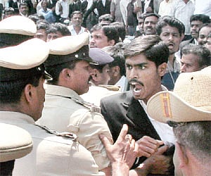 Vestibule bus low on popularity