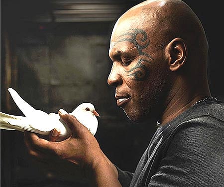 Mike Tyson, about his love for pigeons