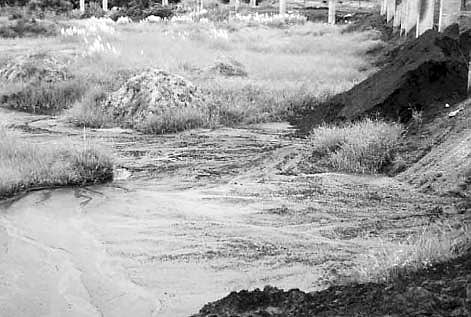 Now, Ash slurry destroys crop