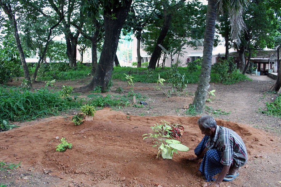 Inflation in life and death