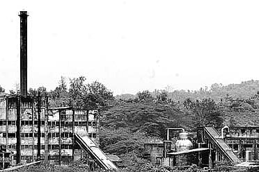 Mavoor set to get back in business