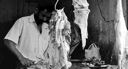 \'Tsunami meat\' still in supply