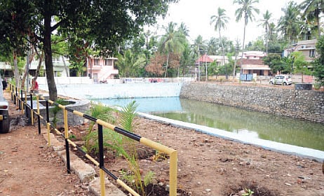 Urban pond rejuvenation tastes success