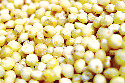 Millet production to increase in Tamil Nadu
