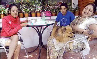 Where pets get their hefty due