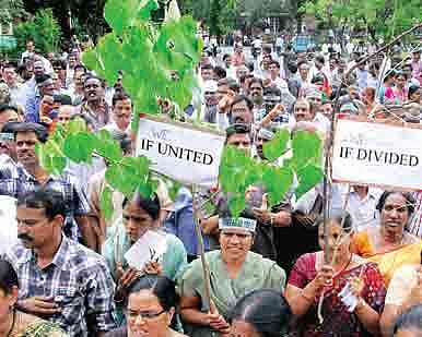 Seemandhra leaders vow to fight it out