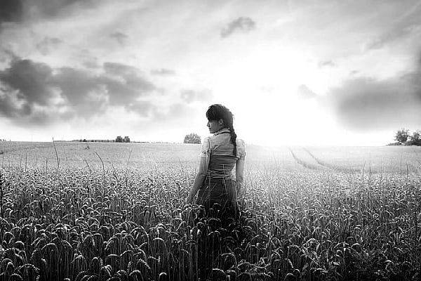 Understanding the causal plane