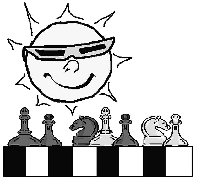 Chess, Career Counselling, This Summer