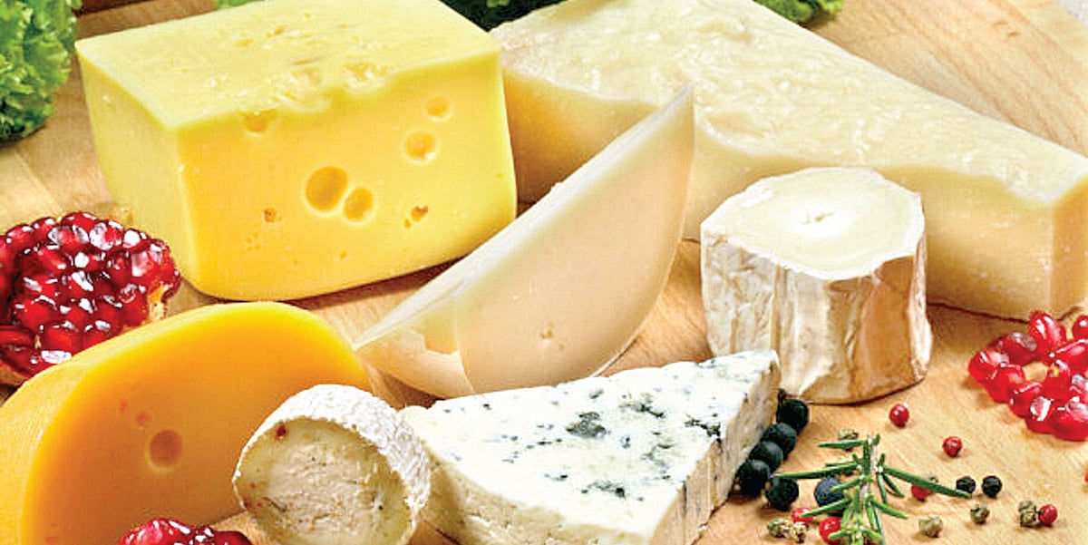 Cheesy Trivia, Anyone?