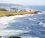 CM Urged to Hand Over Vizhinjam Project to Centre