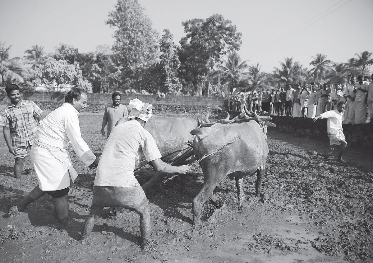 Promoting Farming to Protest Against Mindless Urbanisation