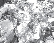 Students to Pitch in to Recycle Plastic Waste