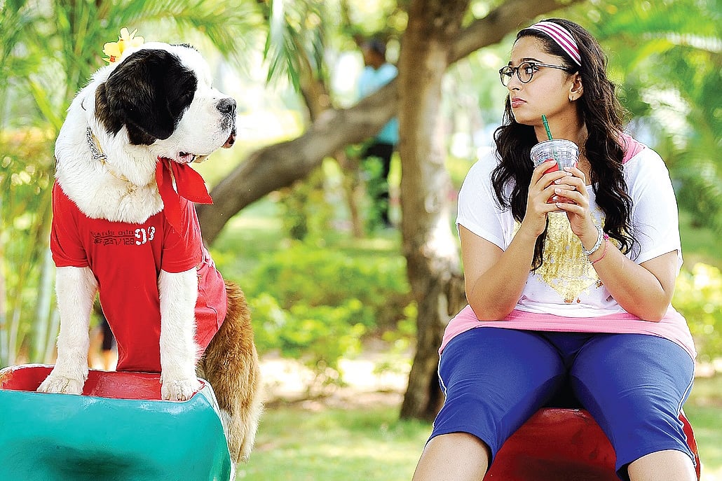 Size Zero Review: Sweety\'s Size Sexy Steals the Show