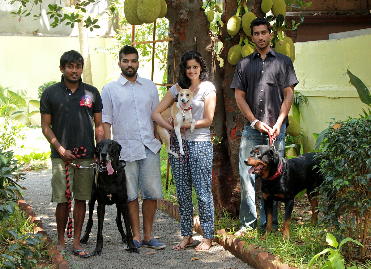 Homeless Tails to see Happy Trails in Chennai