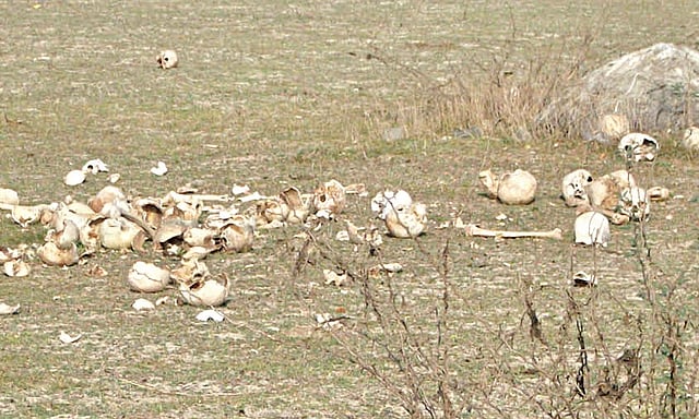 Skulls on Lake Bed Near Temple Trigger Scare
