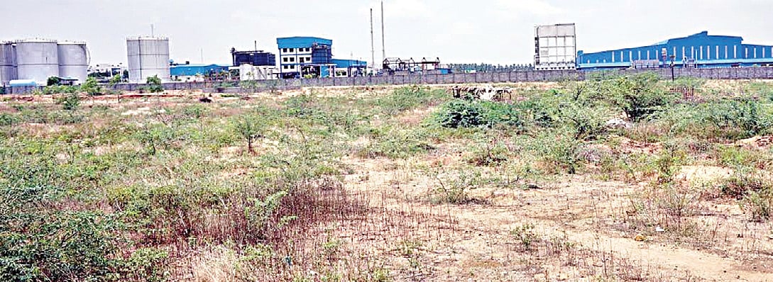 Coke Left Out in the Cold as Govt cancels Perundurai land Allotment
