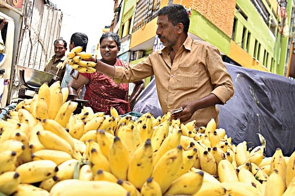 Banana Prices Hit 10-Year Low