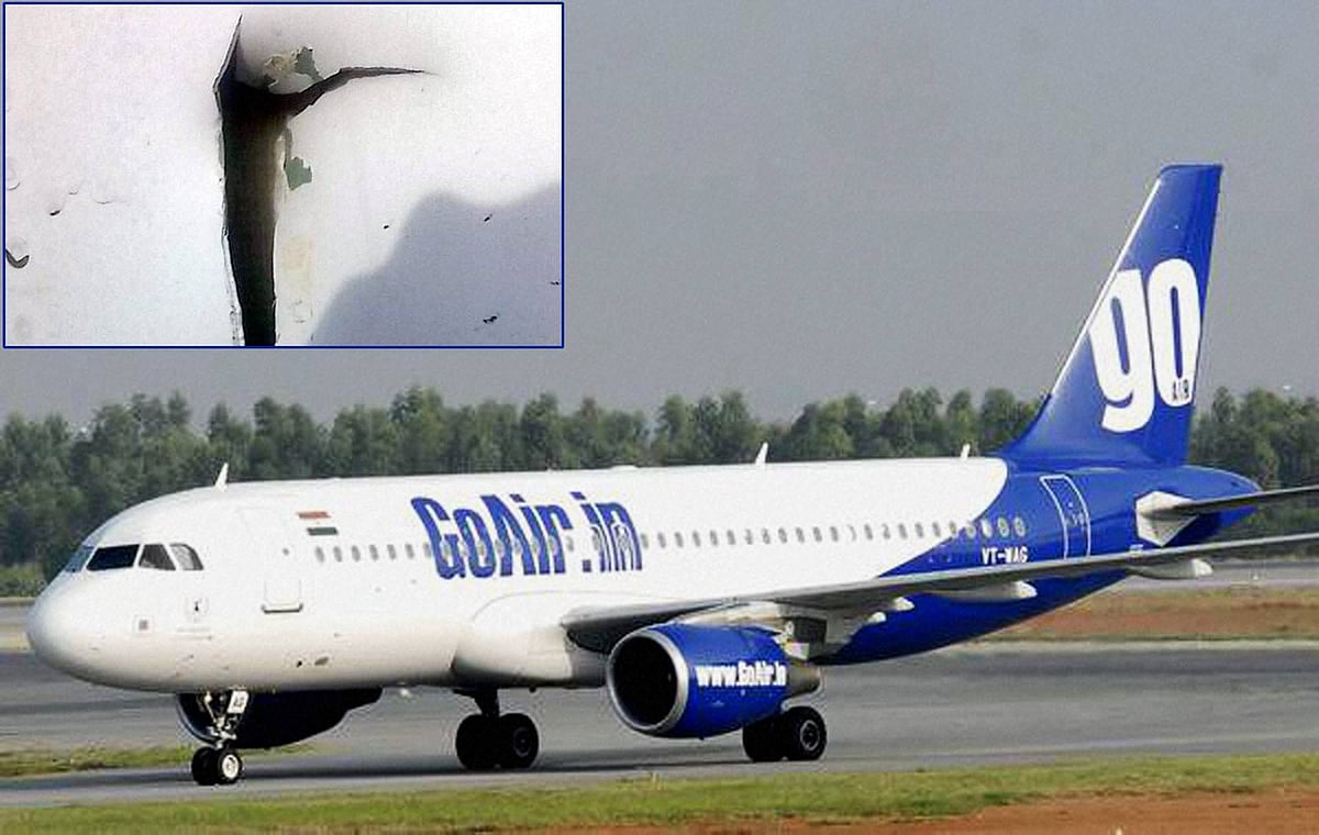 GoAir Aircraft Damaged by Mishandling of Aerobridge