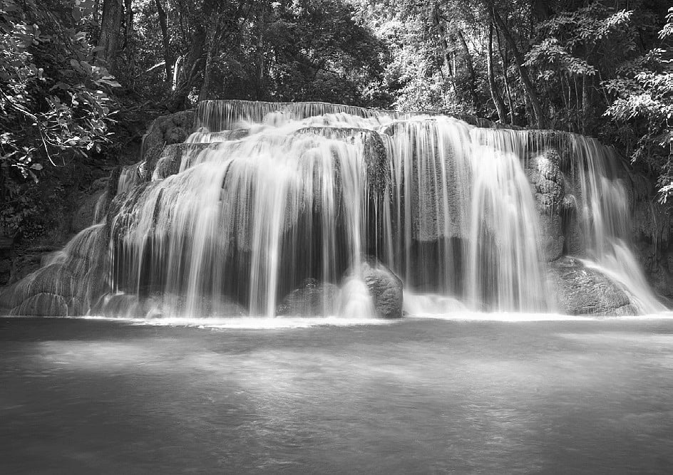 Understanding Action and Inaction