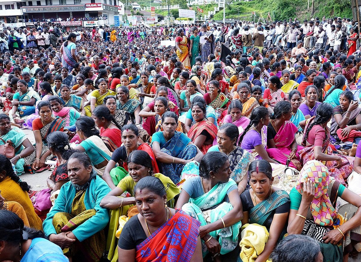 HC Orders Smooth Work in KDHP\'s Tea Estates