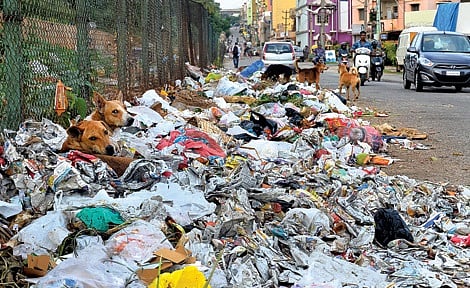 Festival Garbage to Haunt BBMP Now
