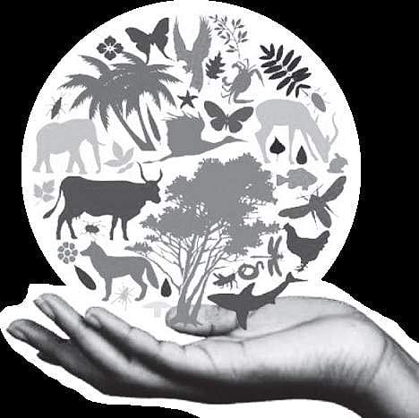 1,000 biodiversity parks in primary schools