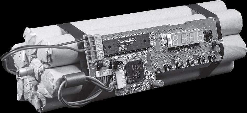 Circuit boards for IED blasts bought from Navi Mumbai shop