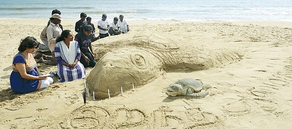 Poems and Prayer for Nearly 2,000 Turtles at Early Morning Memorial