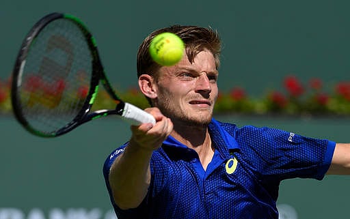 David Goffin claims he was spat at by French Open spectator