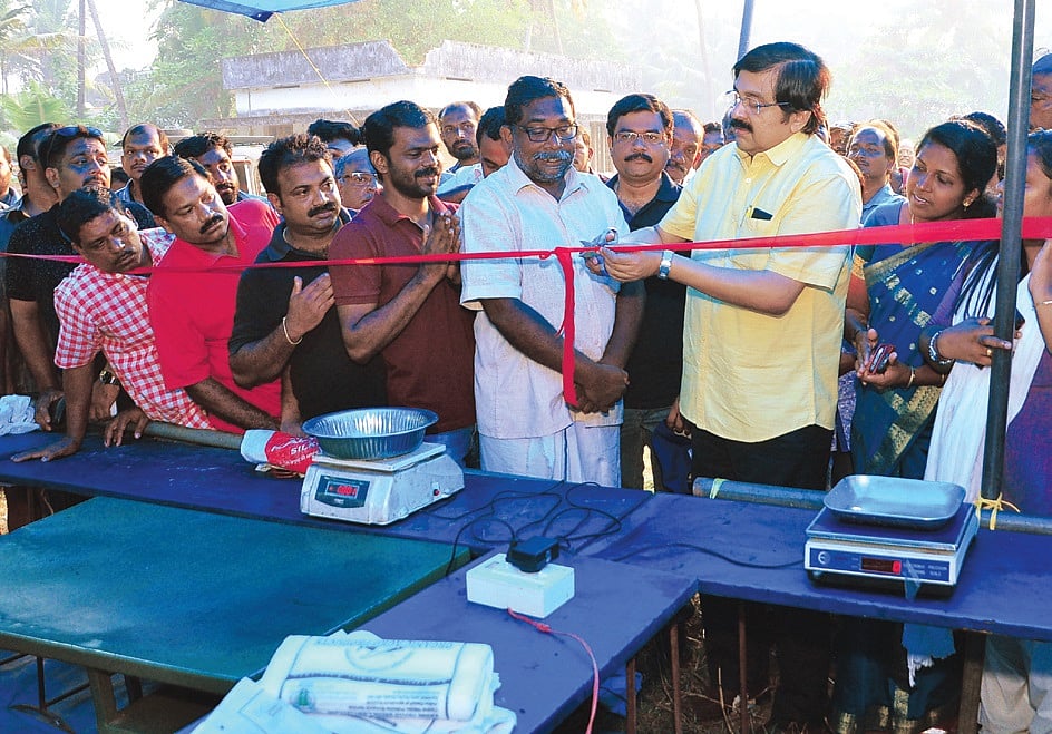 Pokkali Fish Farming to Get a Facelift