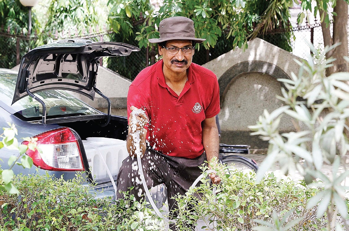Mr green fingers creates ecosystem of health