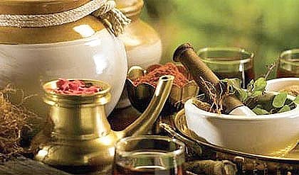 The many benefits of rasayana